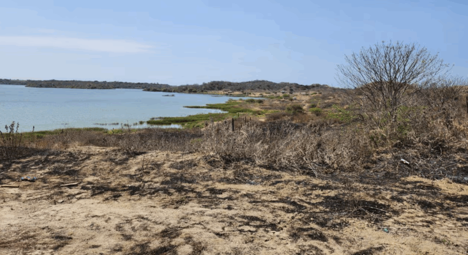 Se detecta indicios penales en contrato de Progen con la Empresa ...